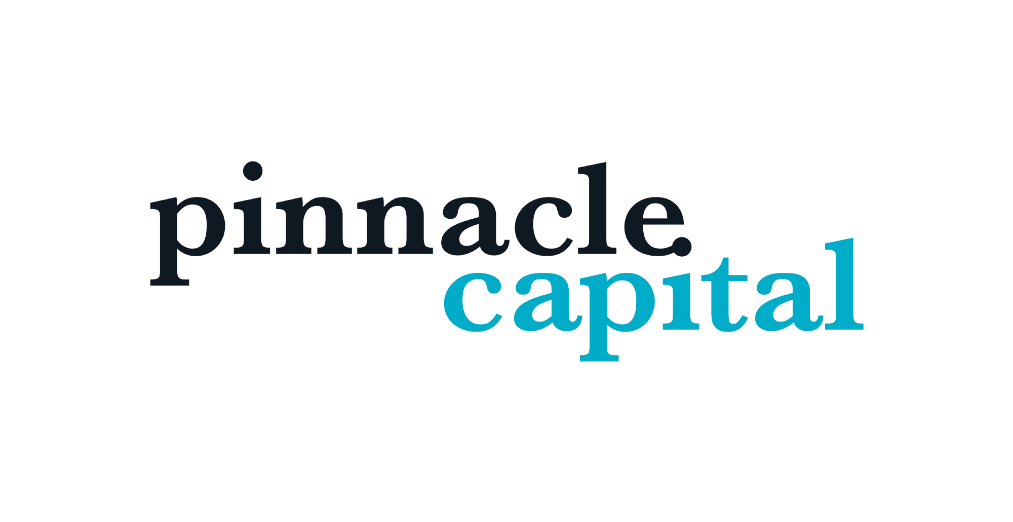 Pinnacle Capital - جمعية رأس المال الجريء والملكية الخاصة